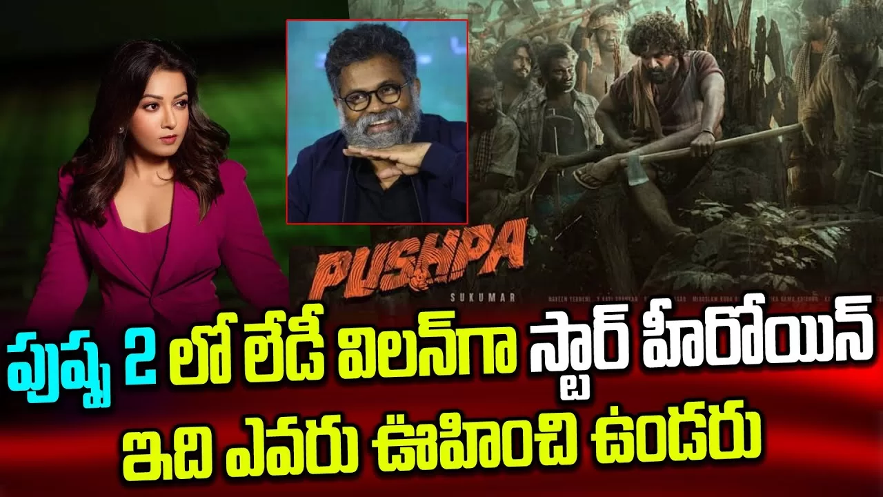 Pushpa 2 latest updates | Allu Arjun about Pushpa-2 The Rule | Sukumar ...