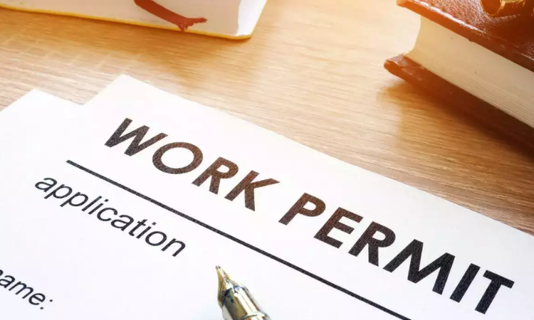 Ireland grants work permits to Indians in Q1 2023.